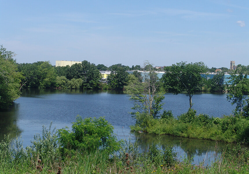 New Freshwater Wetlands Rules Create Uniform Buffers - ecoRI News