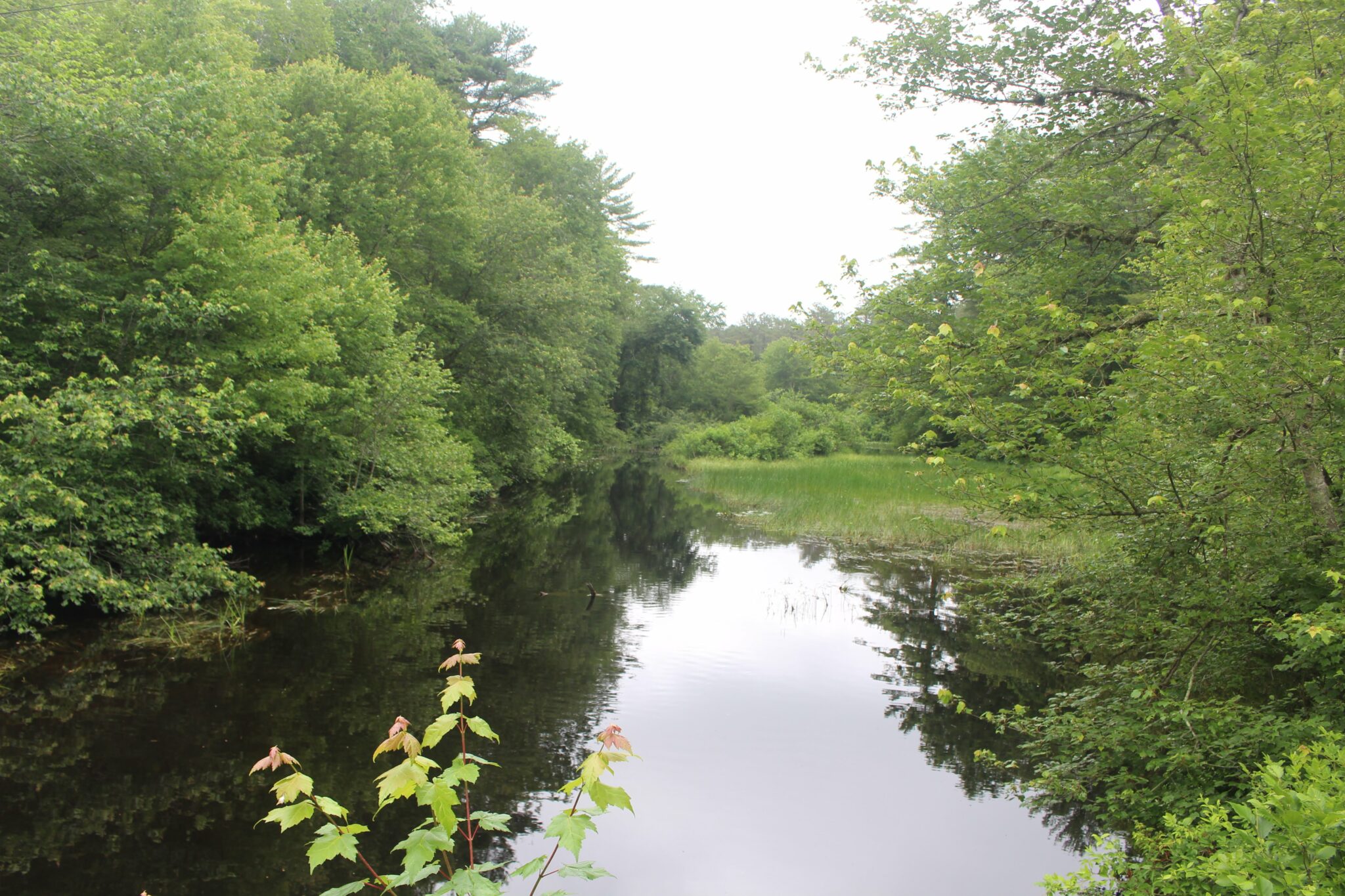 First ‘7 Rivers Festival’ Celebrates Wood-Pawcatuck Watershed - ecoRI News
