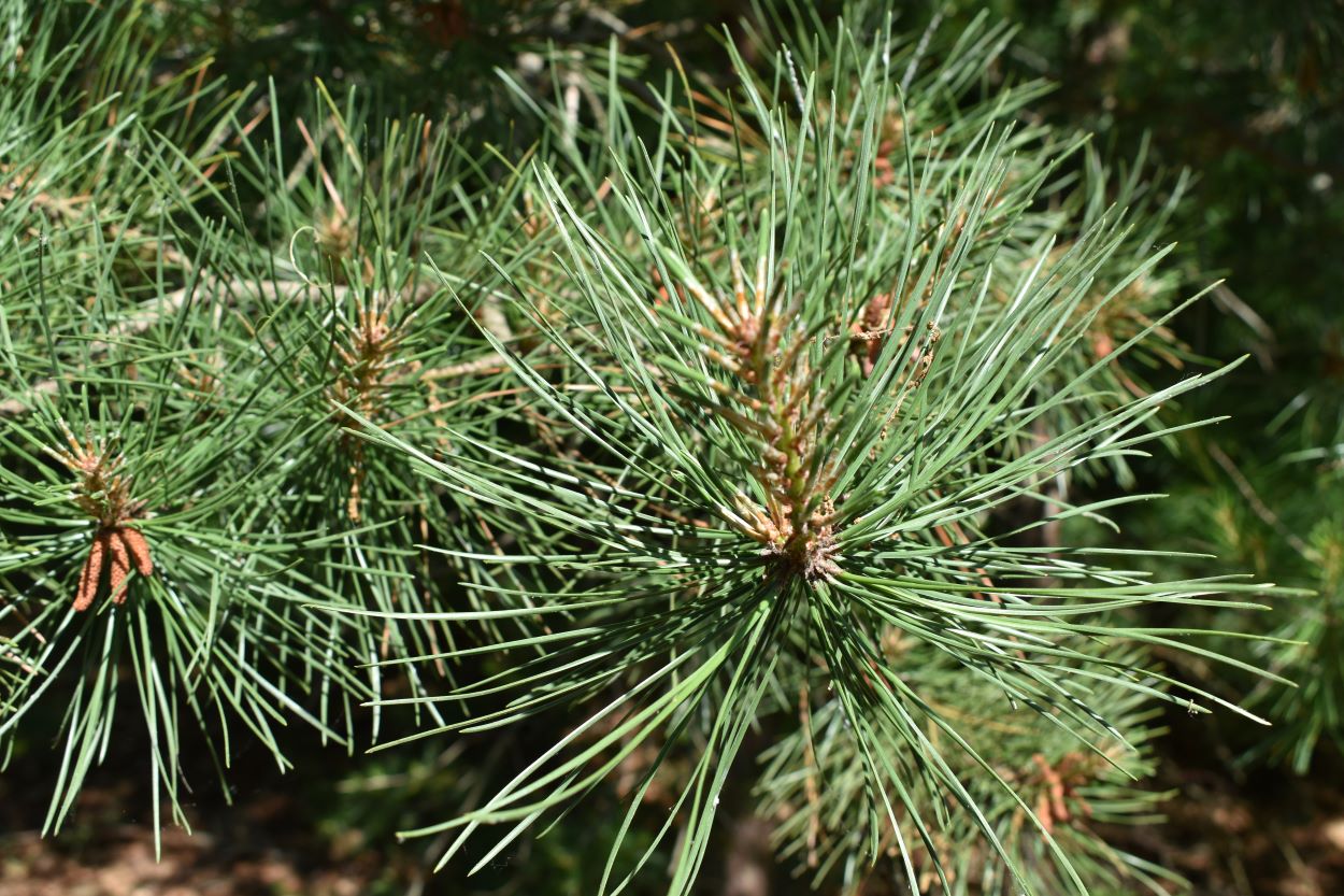 Stella Hall Conservation Area Offers Unique Habitats in One Special ...