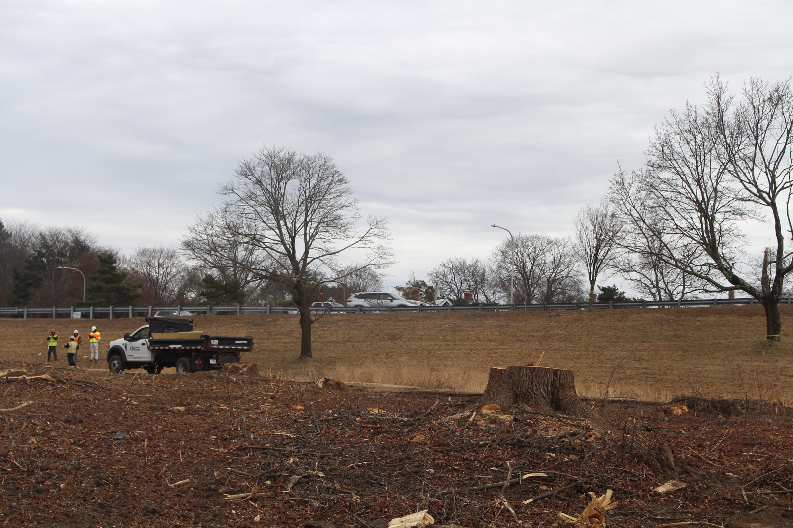Why Did Field of Stumps Appear Near Roger Williams Park? - ecoRI News