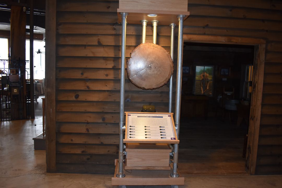 Rings of Time: Woonsocket Museum Exhibit Traces History Through a Tree ...