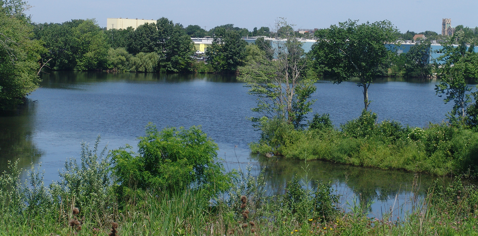 'Rhode Island Desert' a Unique Landscape - ecoRI News