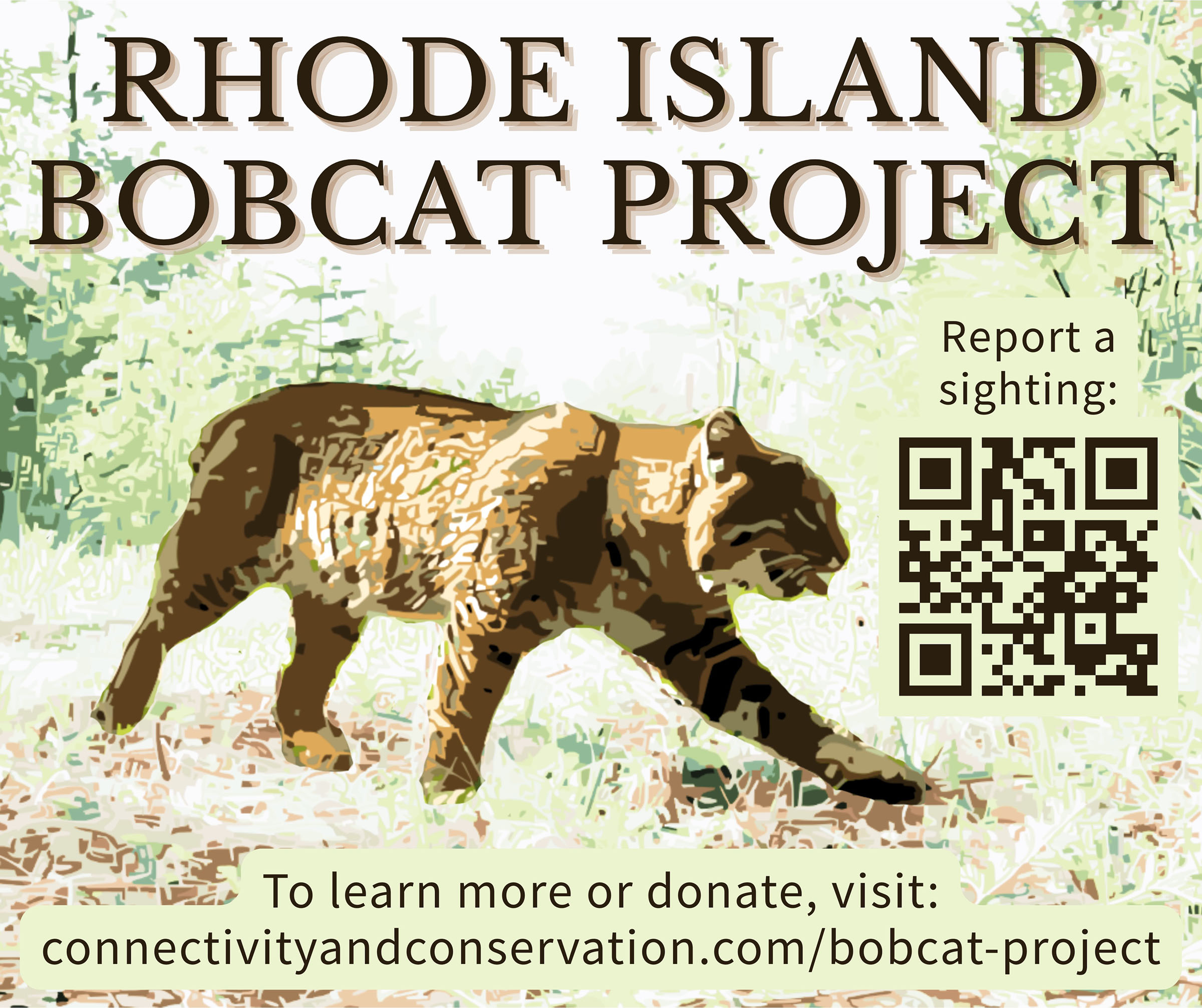 New Statewide Project Calls on Public to Report Bobcat Sightings ...