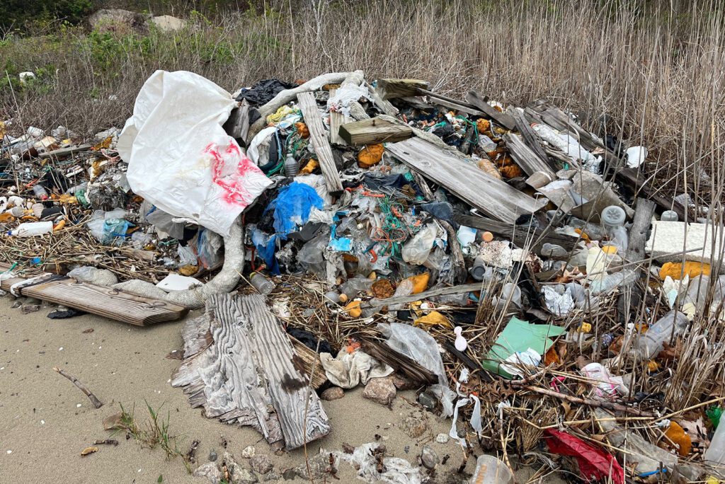 Plastic Tsunami Bears Down on Bay State - ecoRI News