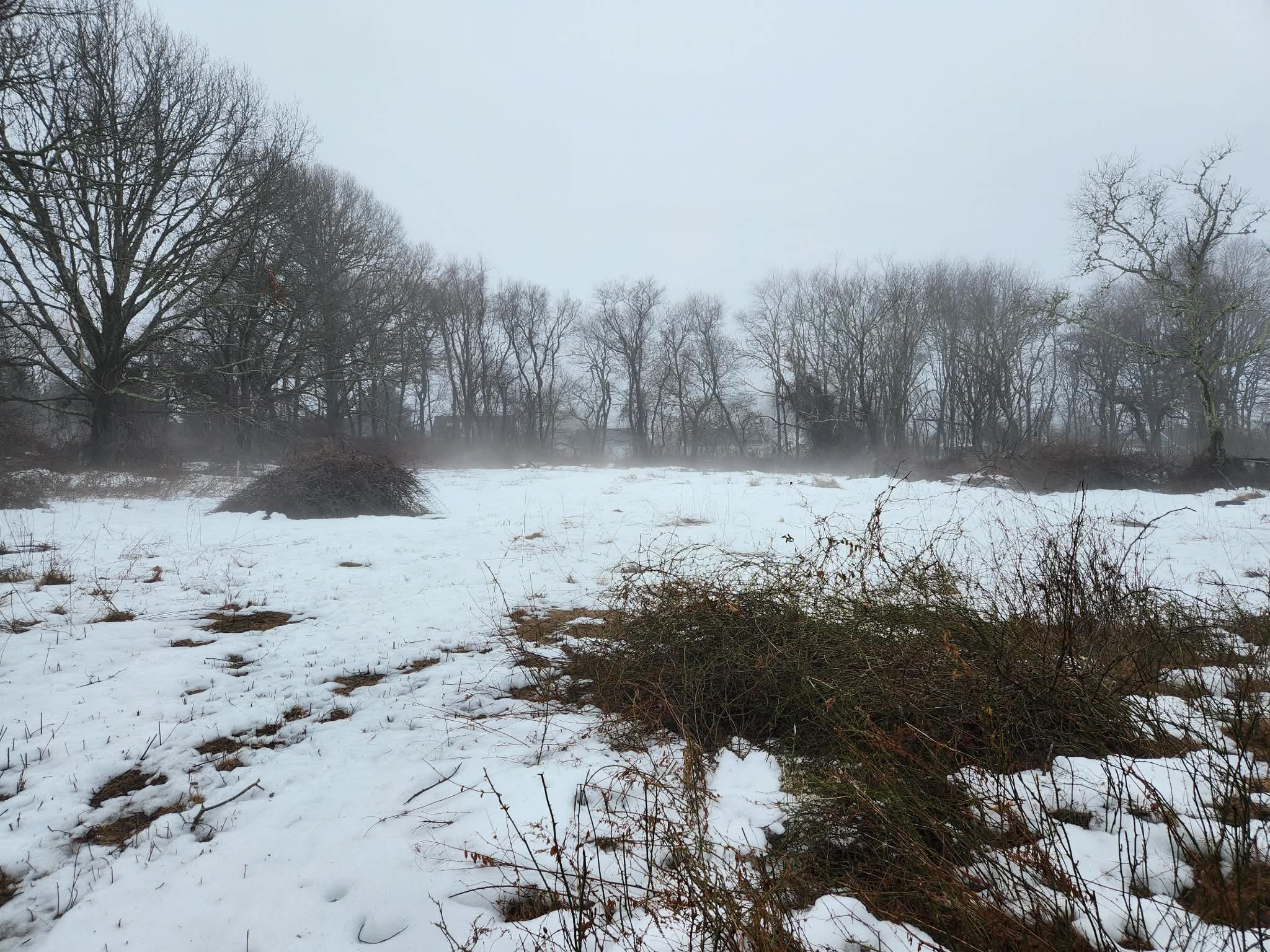 Green Bond Provides 'Critical' Help to Land Trusts, Conservationists in ...